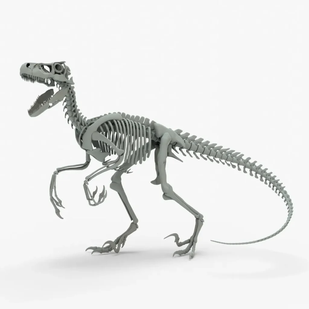 Atrociraptor Rigged Skeleton 3D Model | Creature Guard