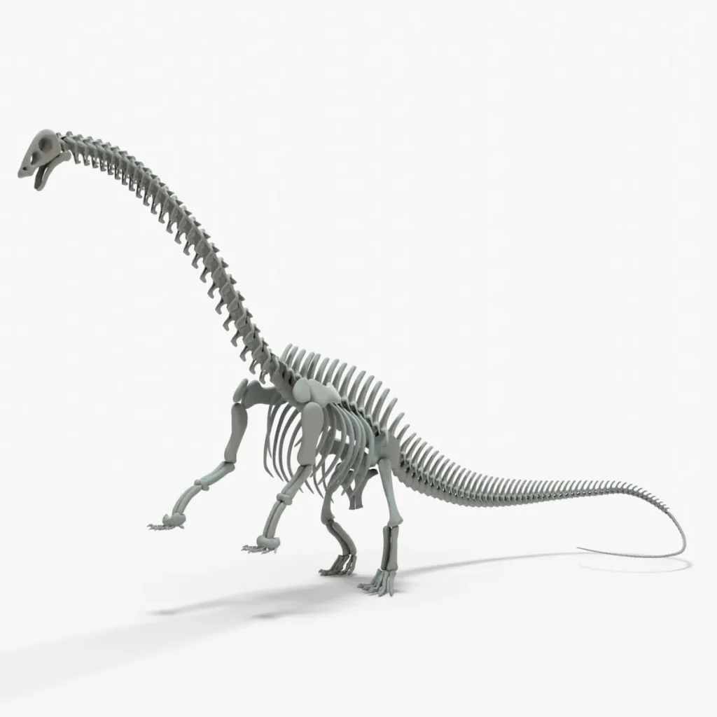 Brontosaurus 3D Model Rigged Skeleton | Creature Guard