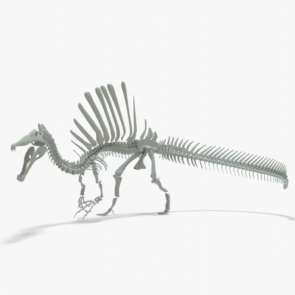 Spinosaurus 3D Model Rigged Skeleton | Creature Guard
